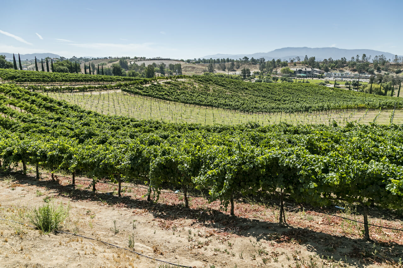 Temecula - Inland Empire Film Services